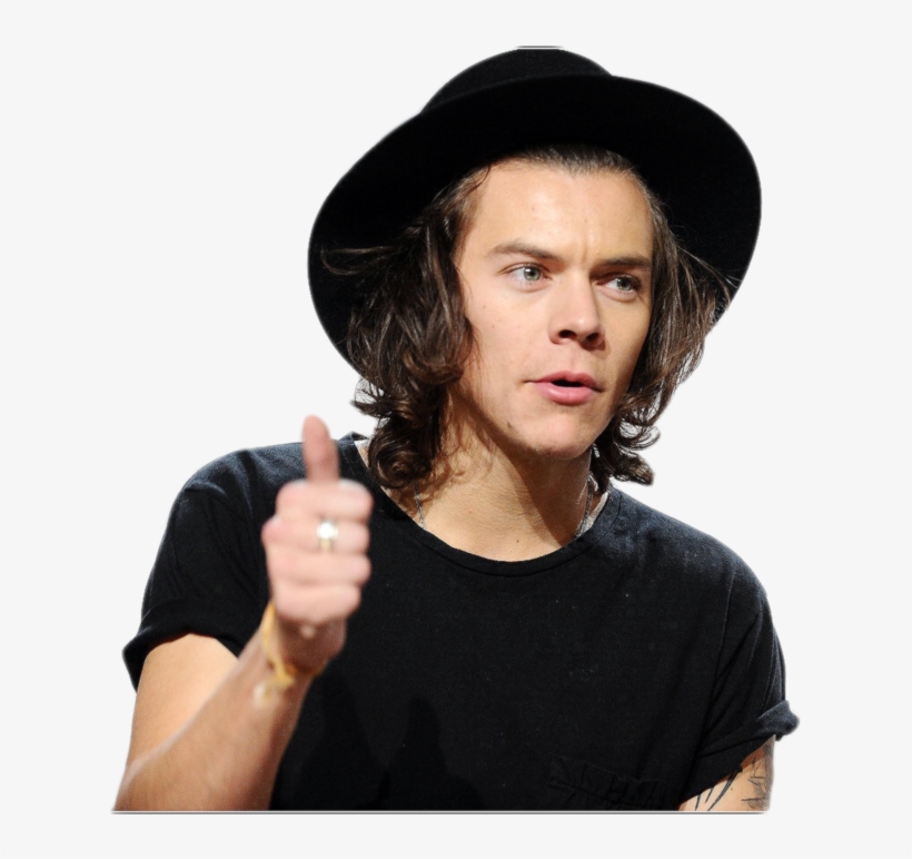 Harry Styles - Free Transparent PNG Download - PNGkey