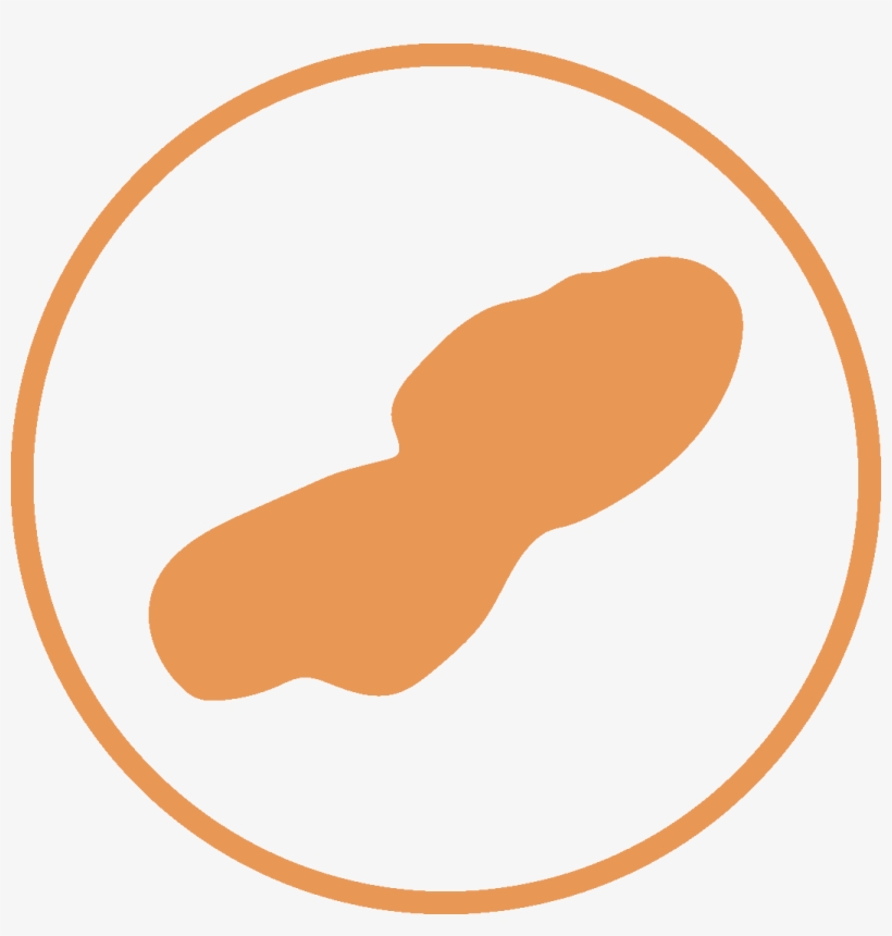 Otter Tail Lake - Free Transparent PNG Download - PNGkey