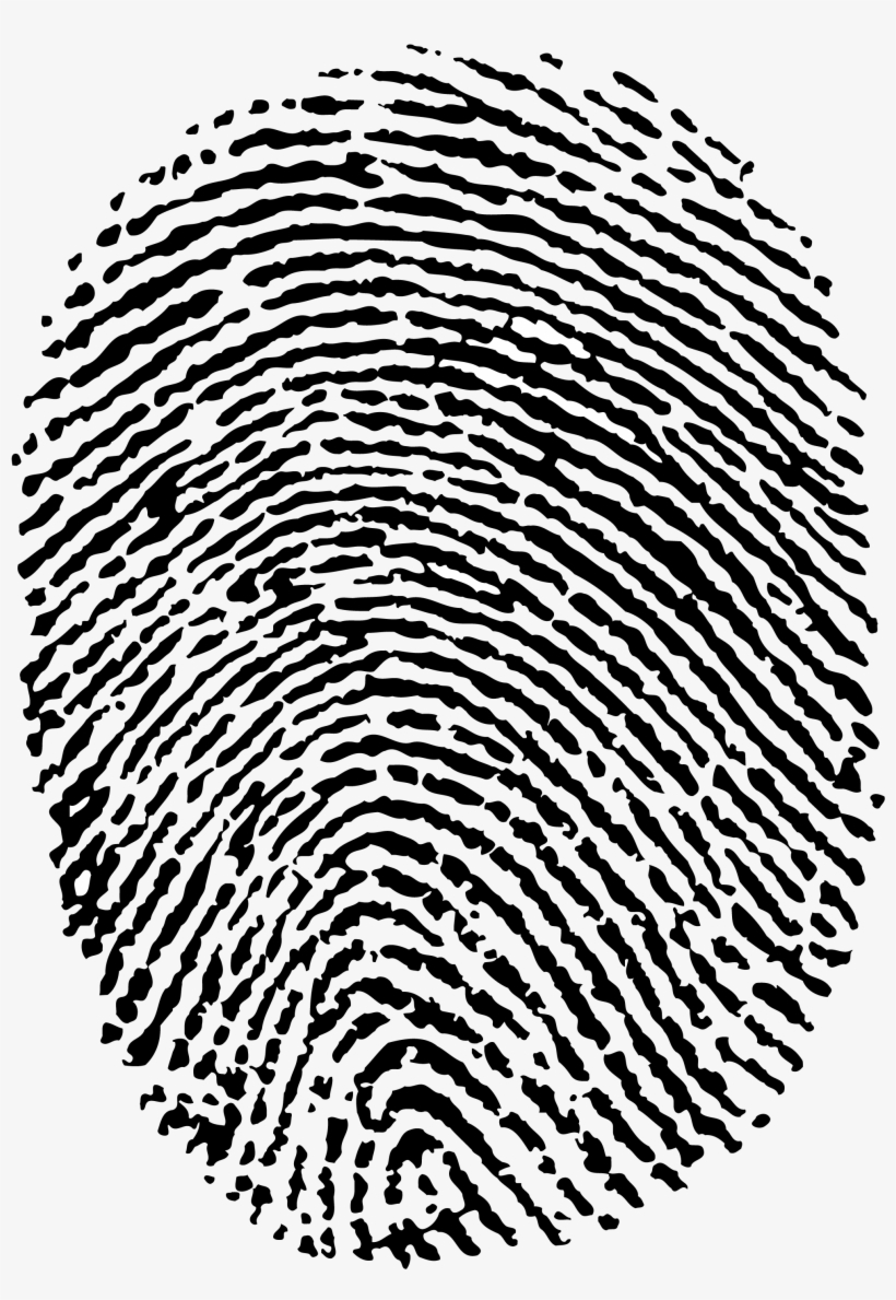 Fingerprint - Free Transparent PNG Download - PNGkey