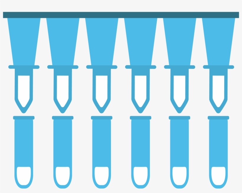 Hla Typing - Free Transparent PNG Download - PNGkey