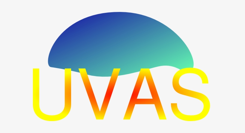 Small - Graphic Design - Free Transparent PNG Download - PNGkey