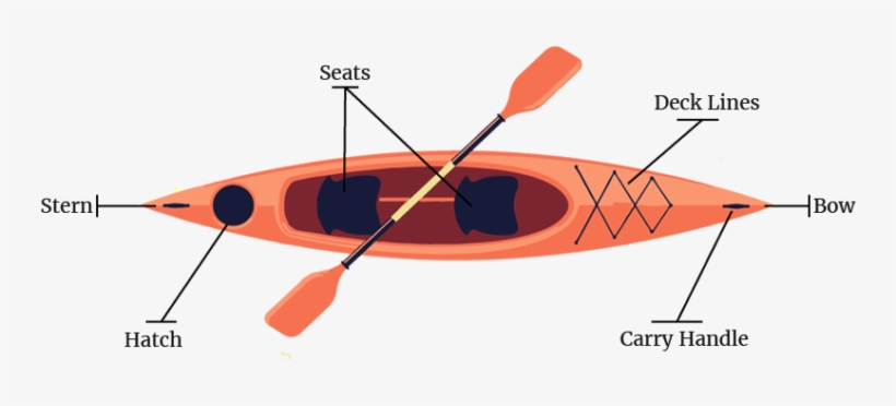 Anatomy Of Kayak - Tourism - Free Transparent PNG Download - PNGkey