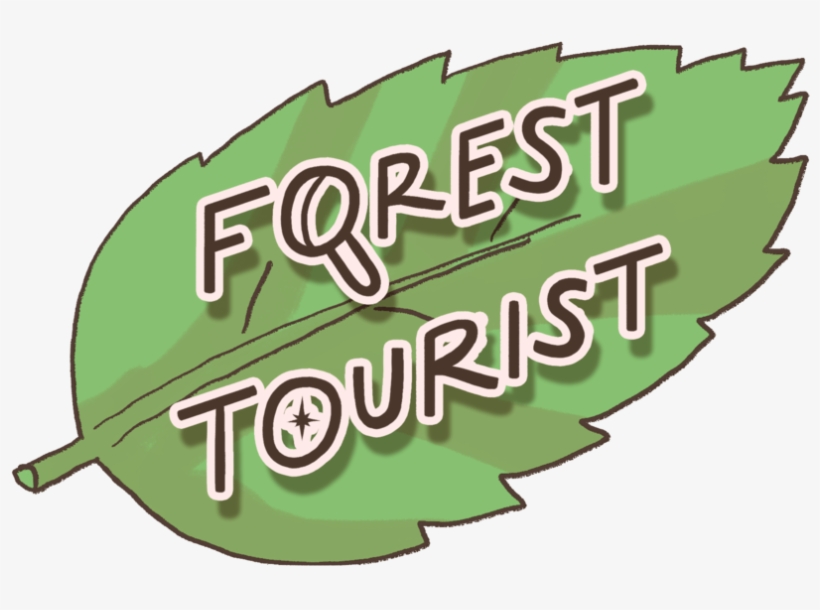 Forest-tourist Logo - Free Transparent PNG Download - PNGkey
