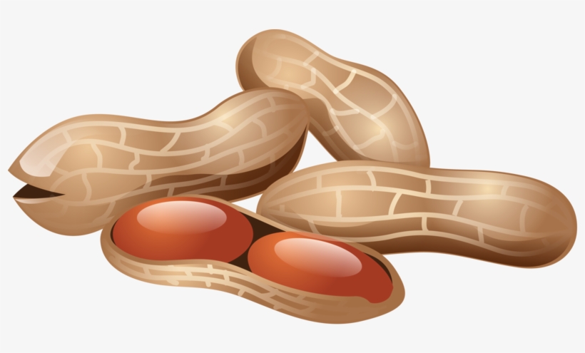 Peanut Png, Download Png Image With Transparent Background, - Peanuts ...