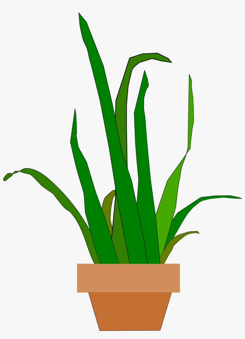 Open - Wikimedia Commons - Free Transparent PNG Download - PNGkey