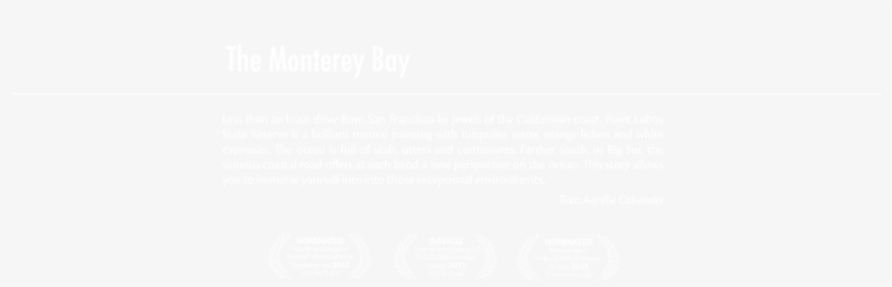 Digital Slr Camera Trap - Gif - Free Transparent PNG Download - PNGkey