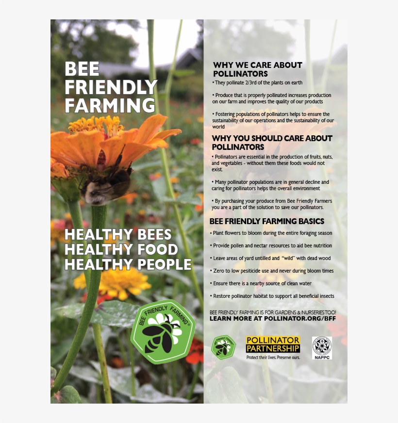 Bee Friendly Farming Poster Version Final - Honey Bee - Free ...