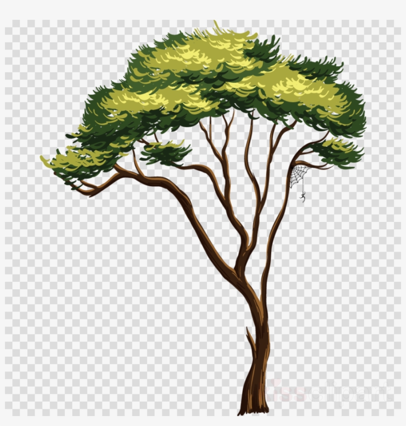 Africa Tree Png Clipart Tree Clip Art - Tree Of Tales - Free ...