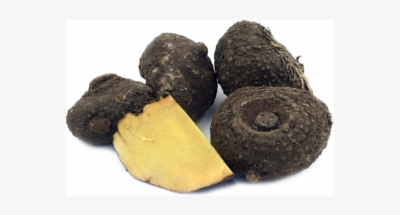 Yam,suran - Suran Yam - Free Transparent PNG Download - PNGkey