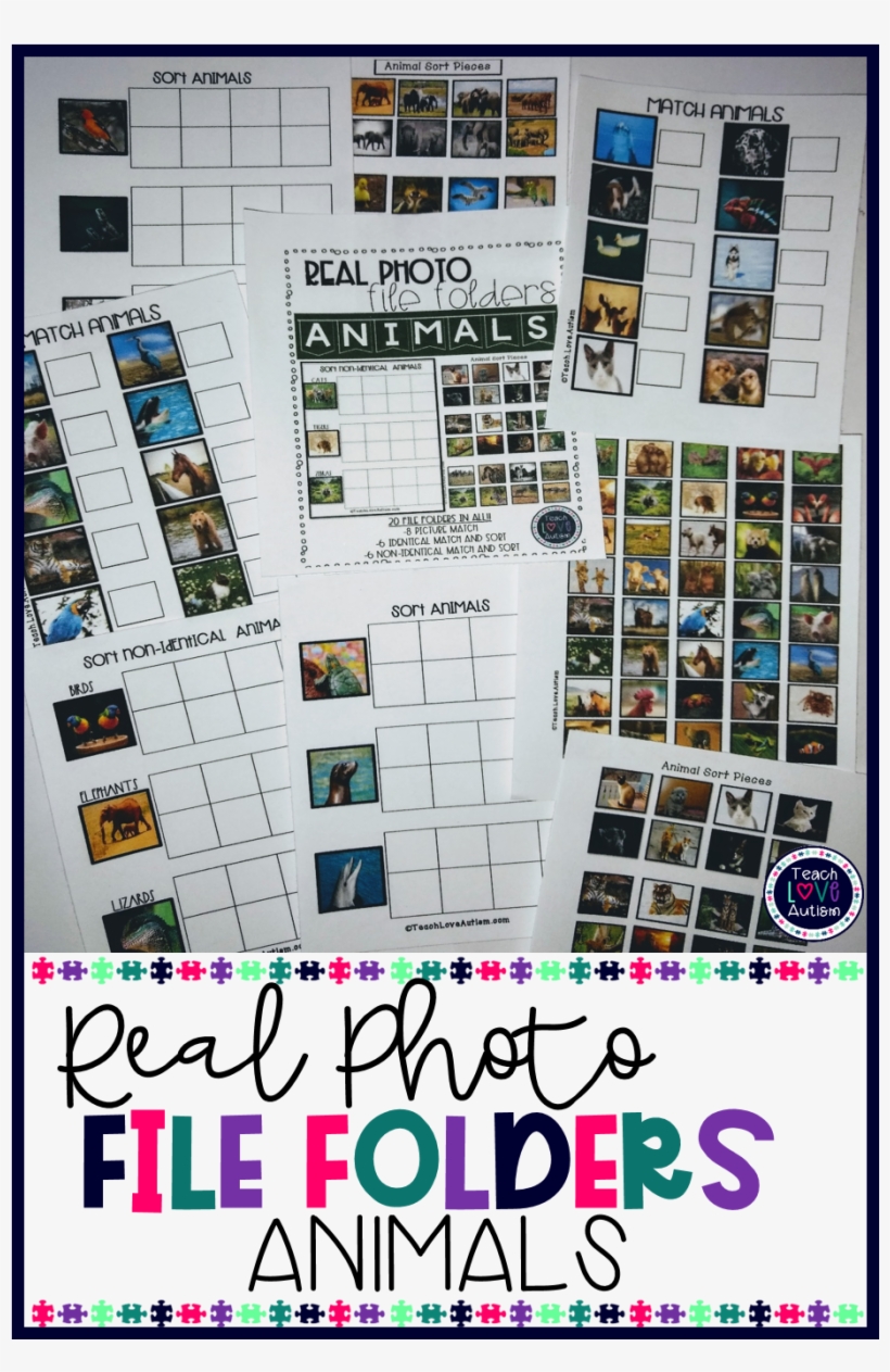 These File Folders Allow For Students To Match Identical - Special ...