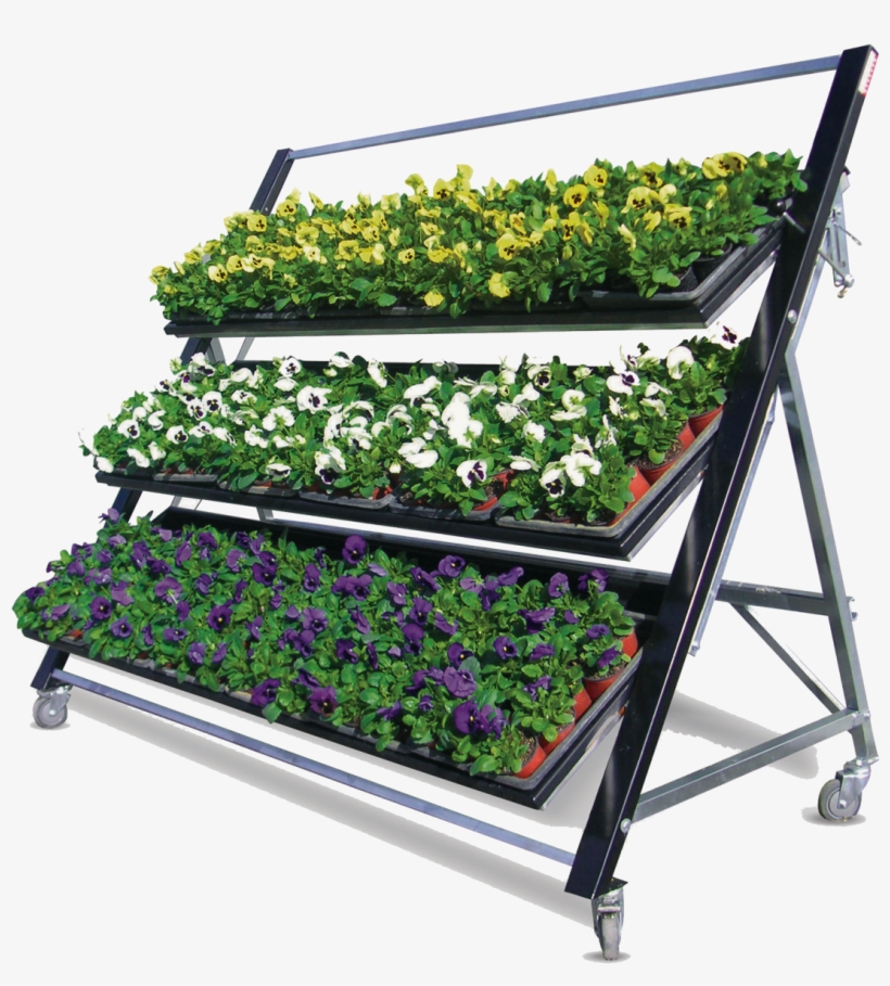 Tiered Plant Retail Display Unit - Png Transparent Plant Display - Free ...