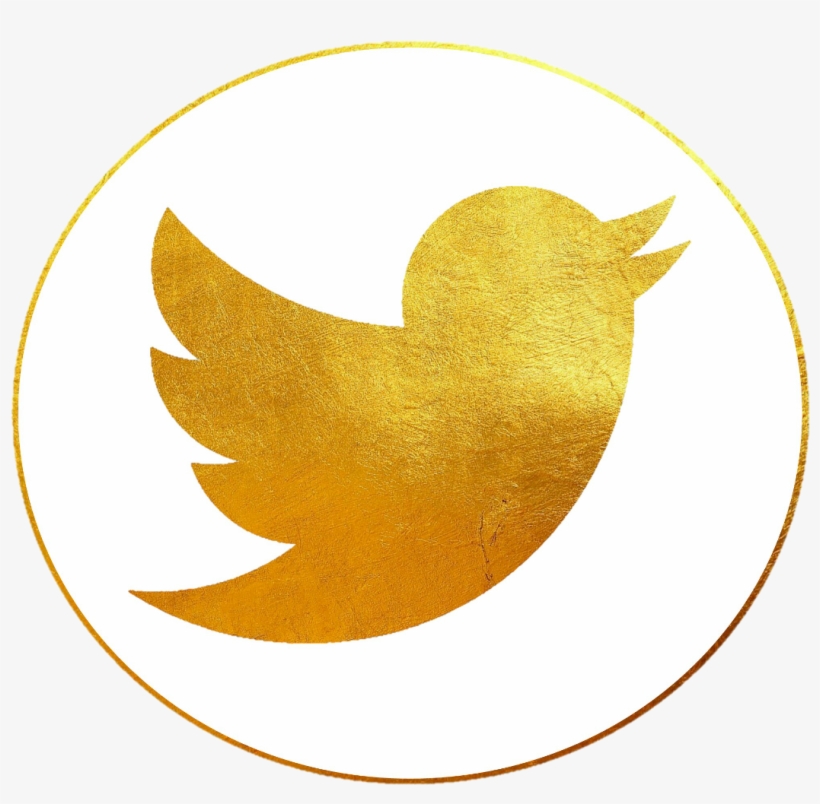 Twitter Logo Vector White - Free Transparent PNG Download - PNGkey