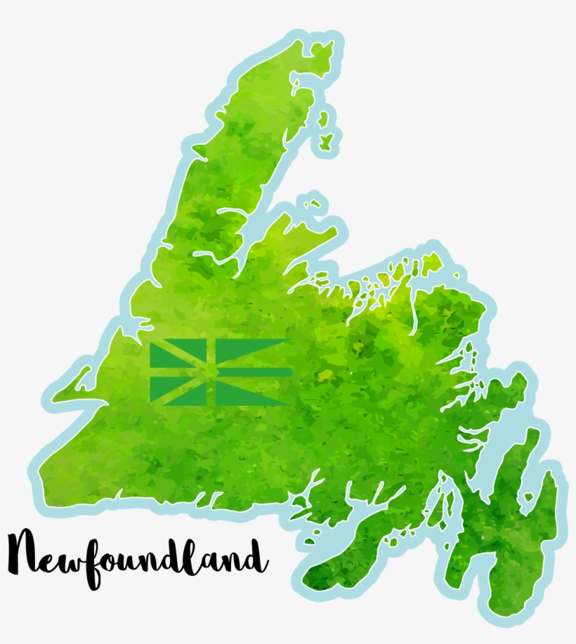Check Out My New Newfoundland Watercolor Design For - Illustration ...