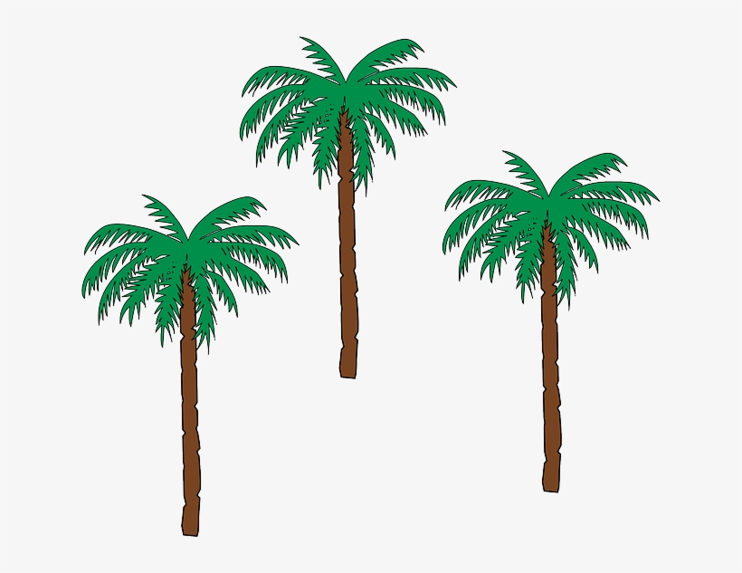 Palm, Tree, Trees - Gambar Kartun Pohon Kurma - Free Transparent PNG ...