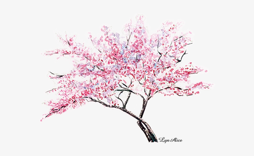 Eastern Redbud - Free Transparent PNG Download - PNGkey