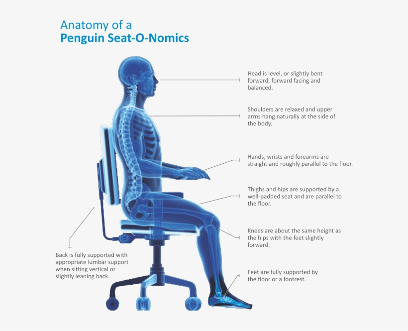 Aegis Utmost Care - Bac