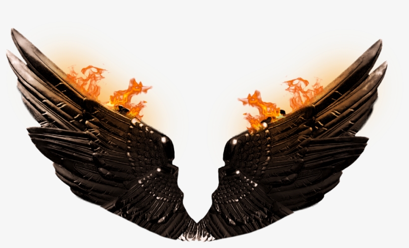 Stock Images From The Link Given Below But Before Downloading ...