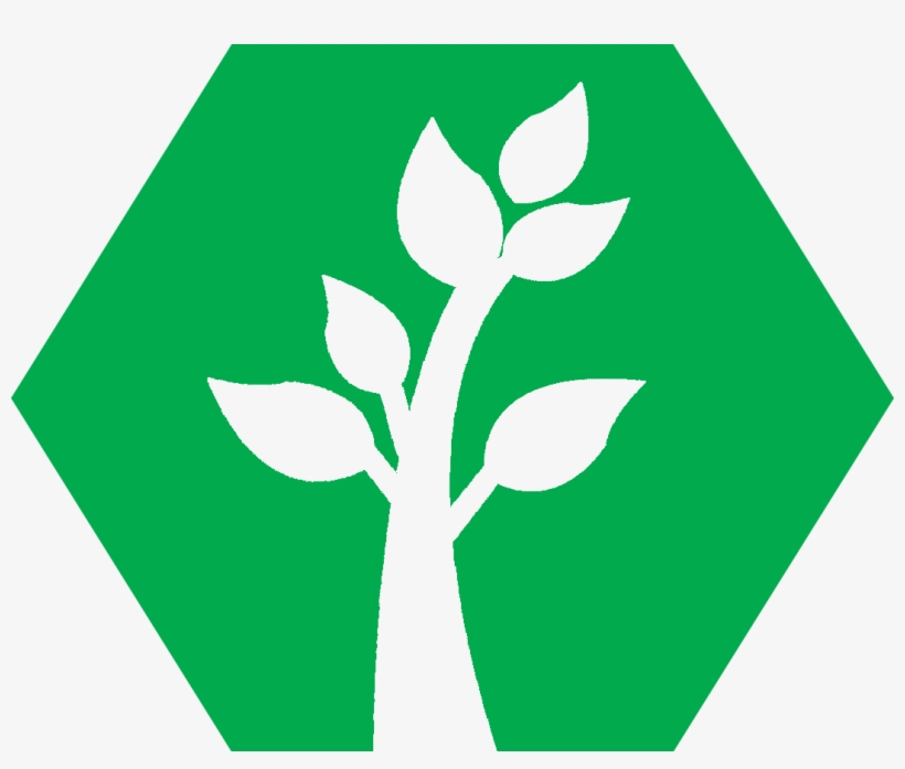 Benefits Icon Green - Icon Benefits - Free Transparent PNG Download ...