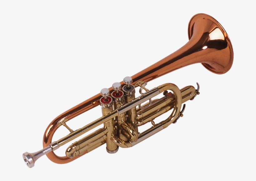 Trumpet - Free Transparent PNG Download - PNGkey