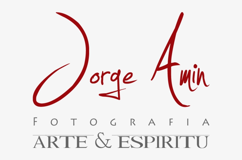 Jorge Amin - Amour - Free Transparent PNG Download - PNGkey