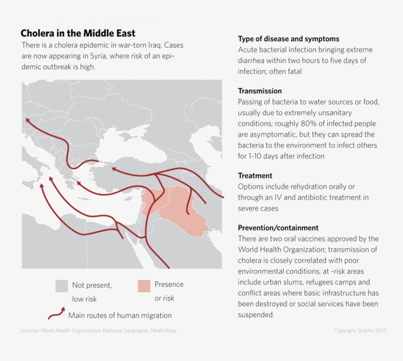Cholera In The Middle East - Cholera - Free Transparent PNG Download ...