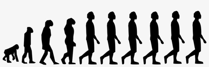 Evolution-296584 960 720 - Human Evolution Dark - Free Transparent PNG ...