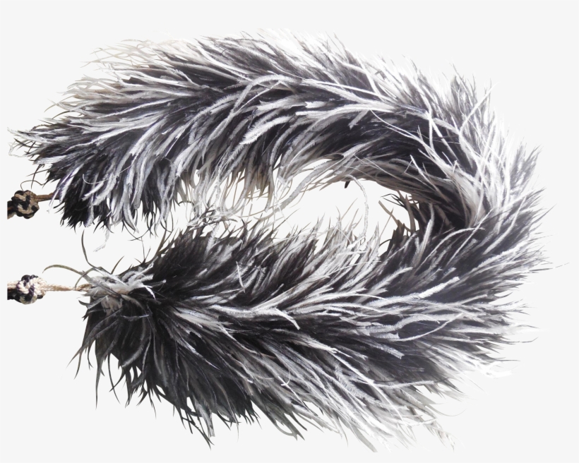 Rare Victorian Ostrich Feather Boa Found At Www - Free Transparent PNG ...