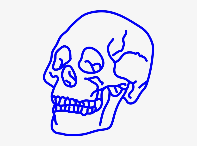 Transparent Skull - Skull - Free Transparent PNG Download - PNGkey