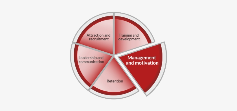 A Pie Chart Graphic Representing Workforce Development - Management ...