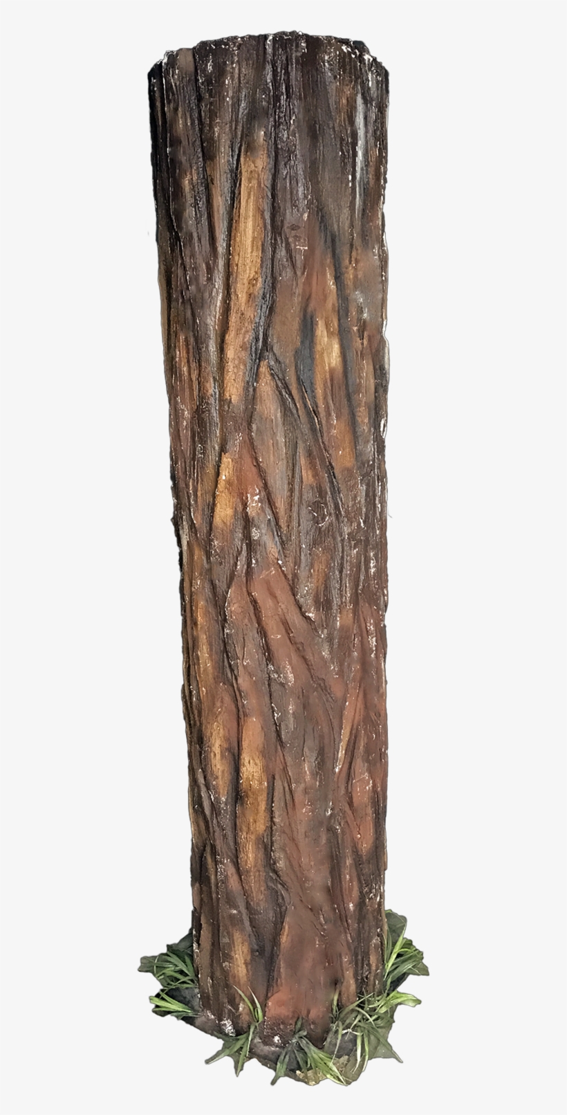 Tree Trunk - Free Transparent PNG Download - PNGkey