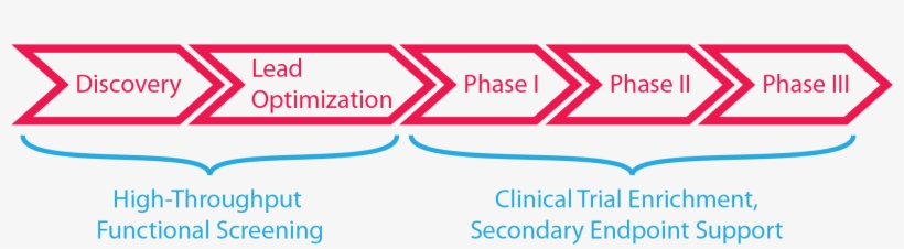 Applications - Application Software - Free Transparent PNG Download ...