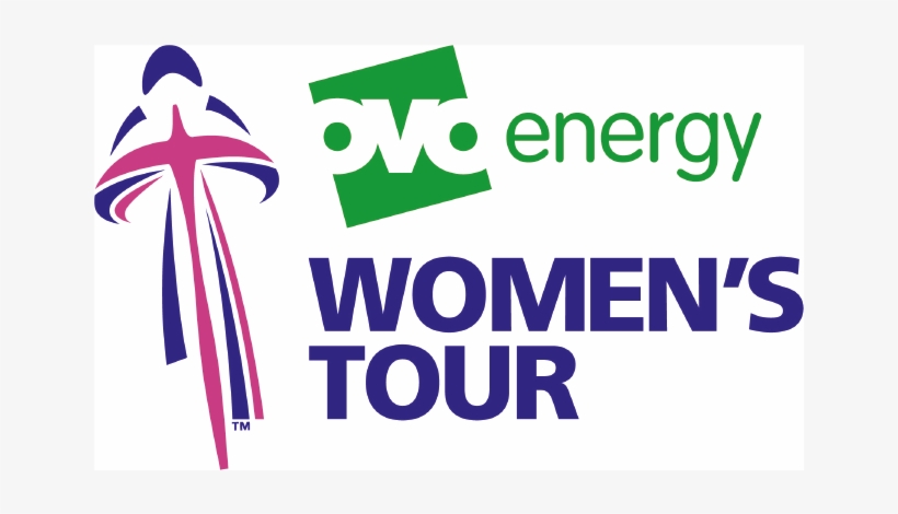 Ovo Png - Free Transparent PNG Download - PNGkey