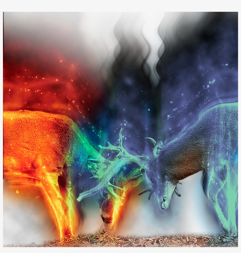 Fighting-bucks - Mythical Creature - Free Transparent PNG Download - PNGkey