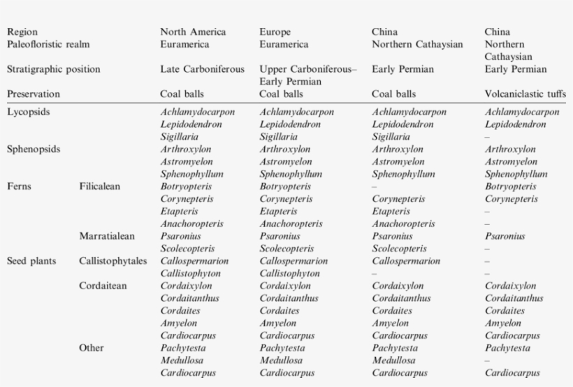 Comparison Of Common Plant Genera Occurring In Euramerican - Document ...