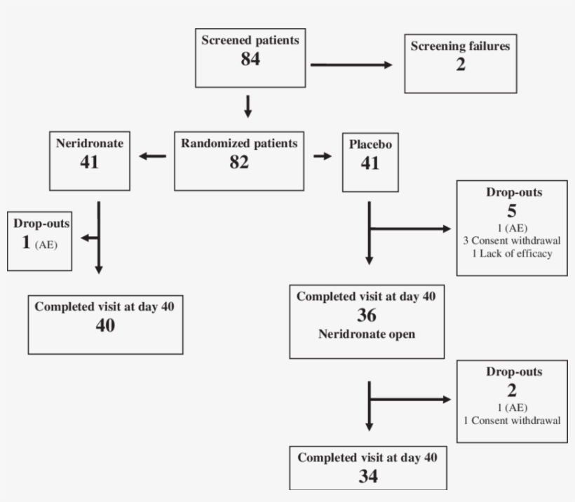Flow Chart Illustrating The Study Protocol And The - Flowchart - Free ...