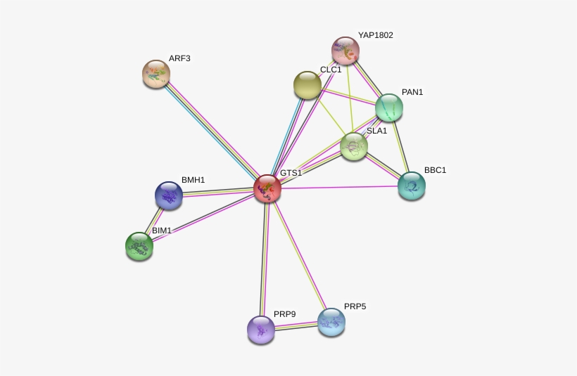 Network - Diagram - Free Transparent PNG Download - PNGkey