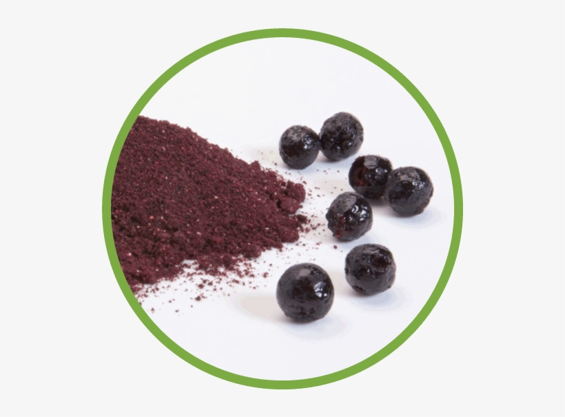 Aronia - Aronia Powder - Free Transparent PNG Download - PNGkey