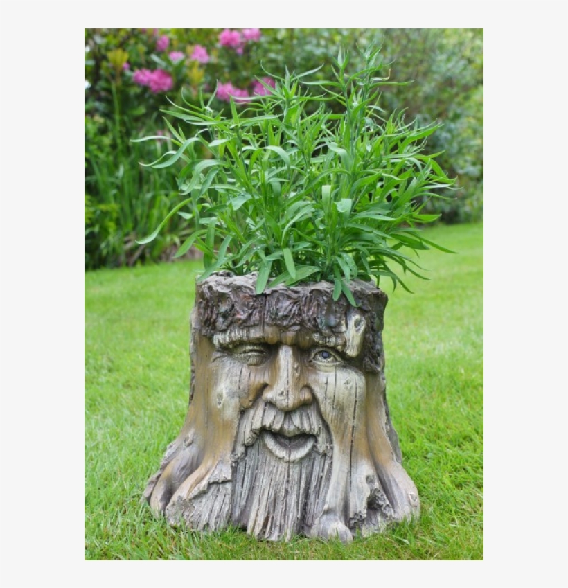 Novelty Tree Stump Garden Planter Wood Carved Face - Free Transparent ...