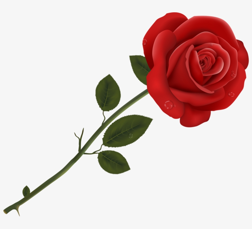 Queen Of Flowers Vector Png Art Painting - Rose Transparent Background ...