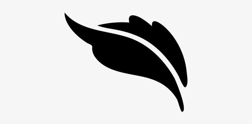 Plant Leaf Shape Vector - Free Leaf Shapes Png - Free Transparent PNG ...
