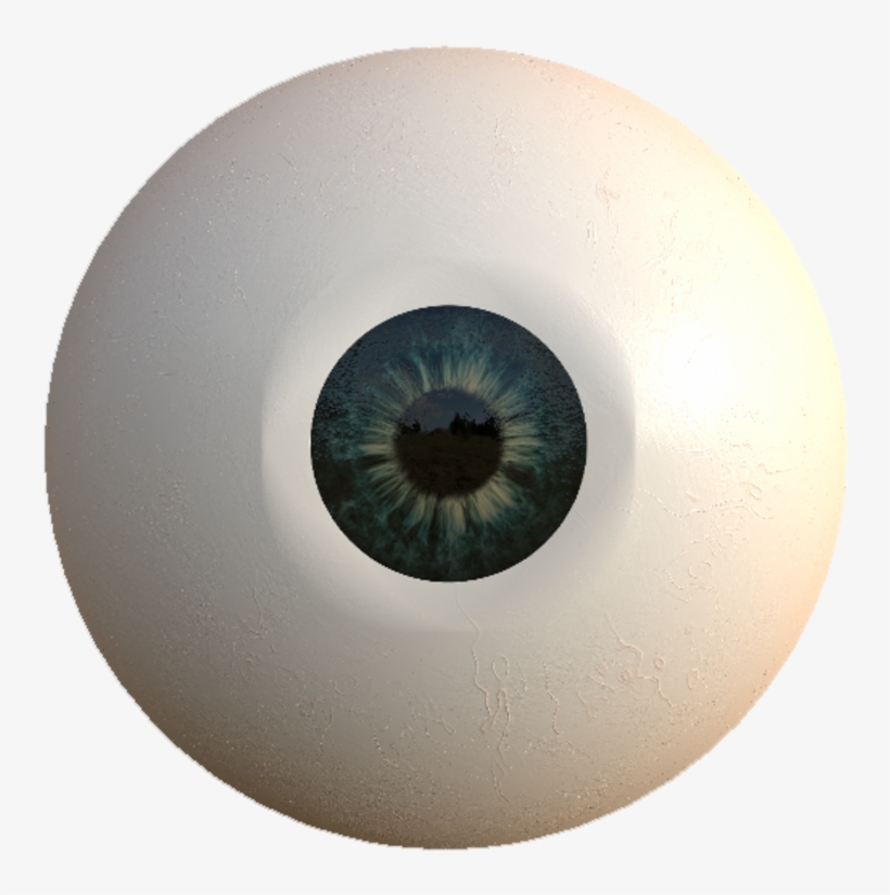 Eyeball - Eye - Free Transparent PNG Download - PNGkey