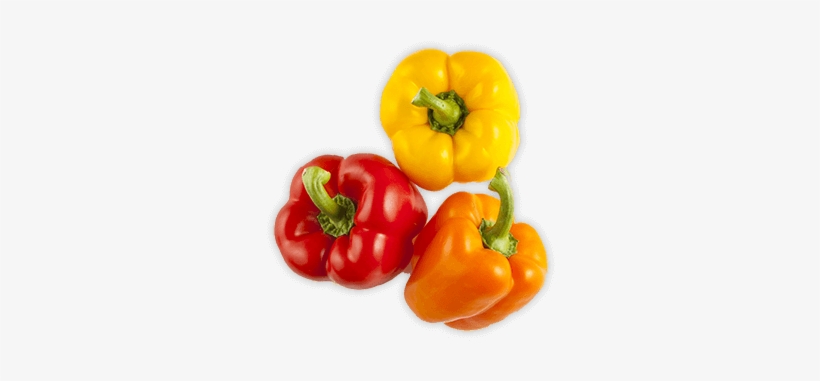 Tri Color Sweet Bell Peppers - Red Bell Pepper - Free Transparent PNG ...
