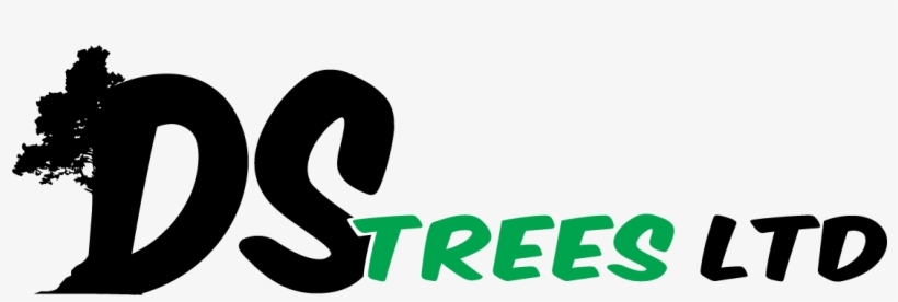 Auckland Tree Arborist - Unicorns And Other Mythical Horses Coloring ...