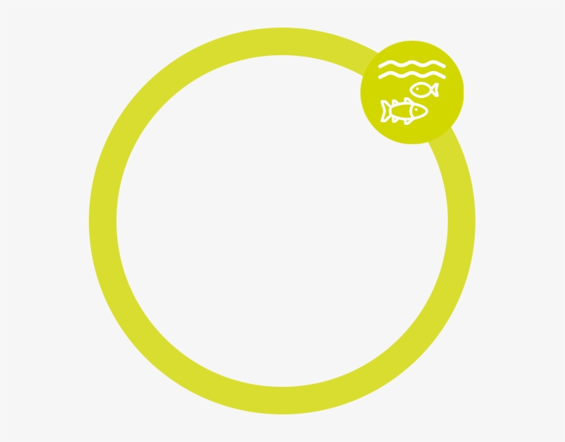 Why We Do It - Graphics - Free Transparent PNG Download - PNGkey