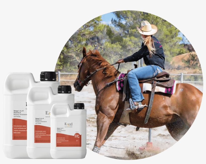 Excel Eq - Equestrianism - Free Transparent PNG Download - PNGkey