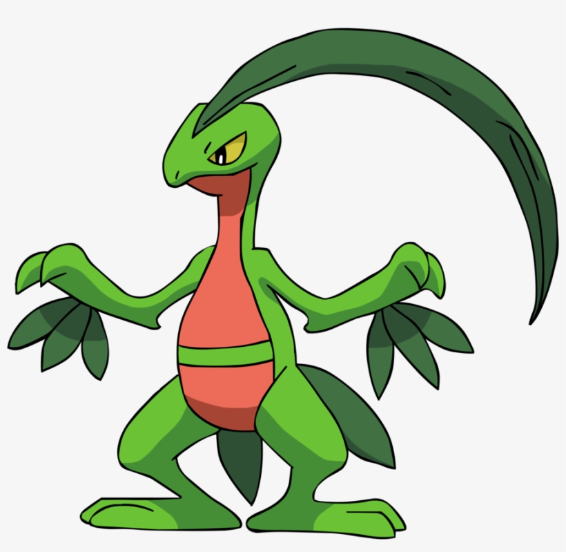 Grovyle Png - Pokemon Grovyle - Free Transparent PNG Download - PNGkey