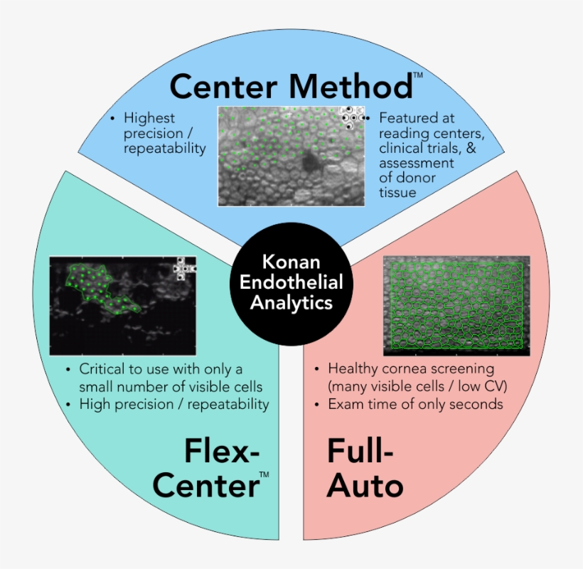 Robust Analysis Methods - Konan Cellcheck - Free Transparent PNG ...