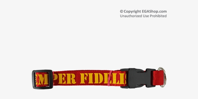 Fernandino First - Free Transparent PNG Download - PNGkey