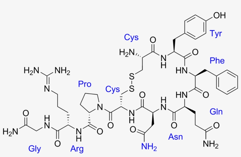 Adh Deficiency Symptoms - Oxytocin Syntocinon - Free Transparent PNG ...