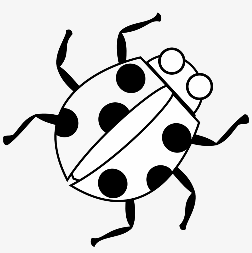 Lady Bug Line Drawing - Free Transparent PNG Download - PNGkey